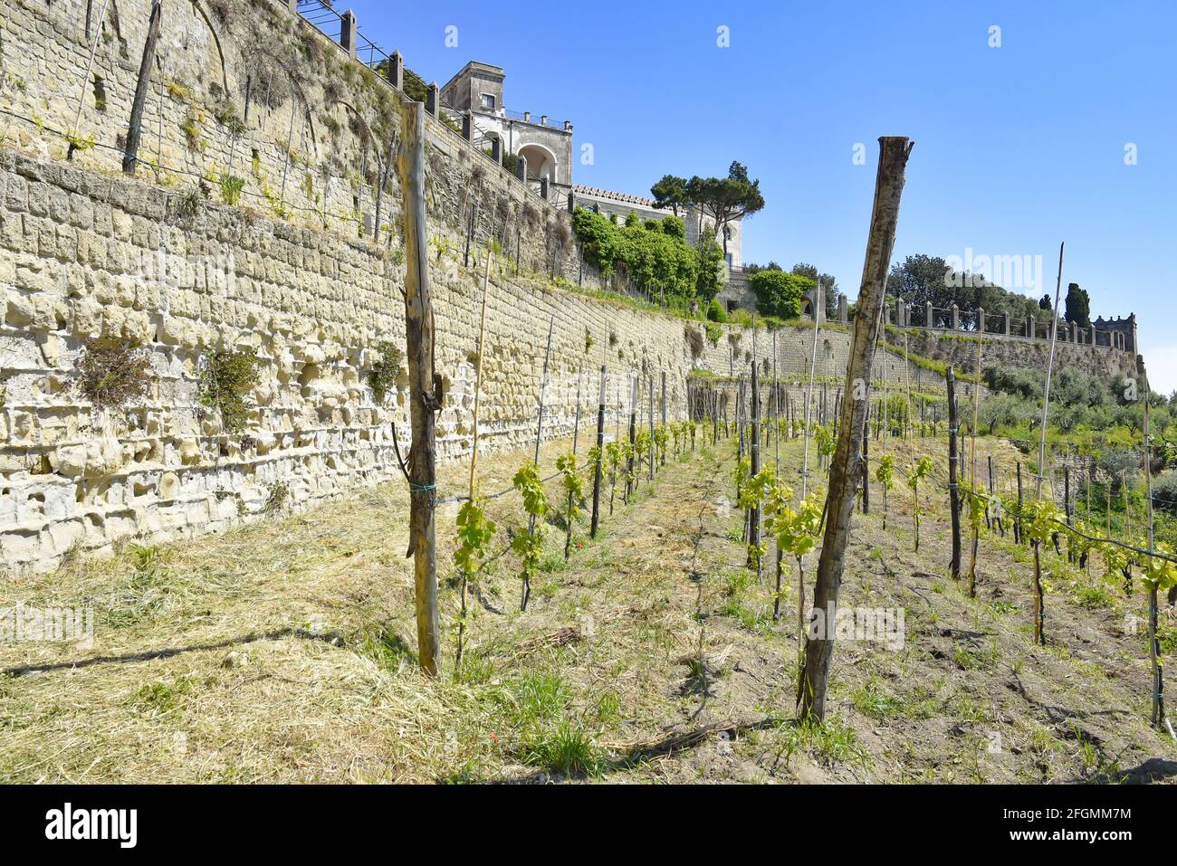 Tourism italy agriculture hi-res stock photography and images - Alamy