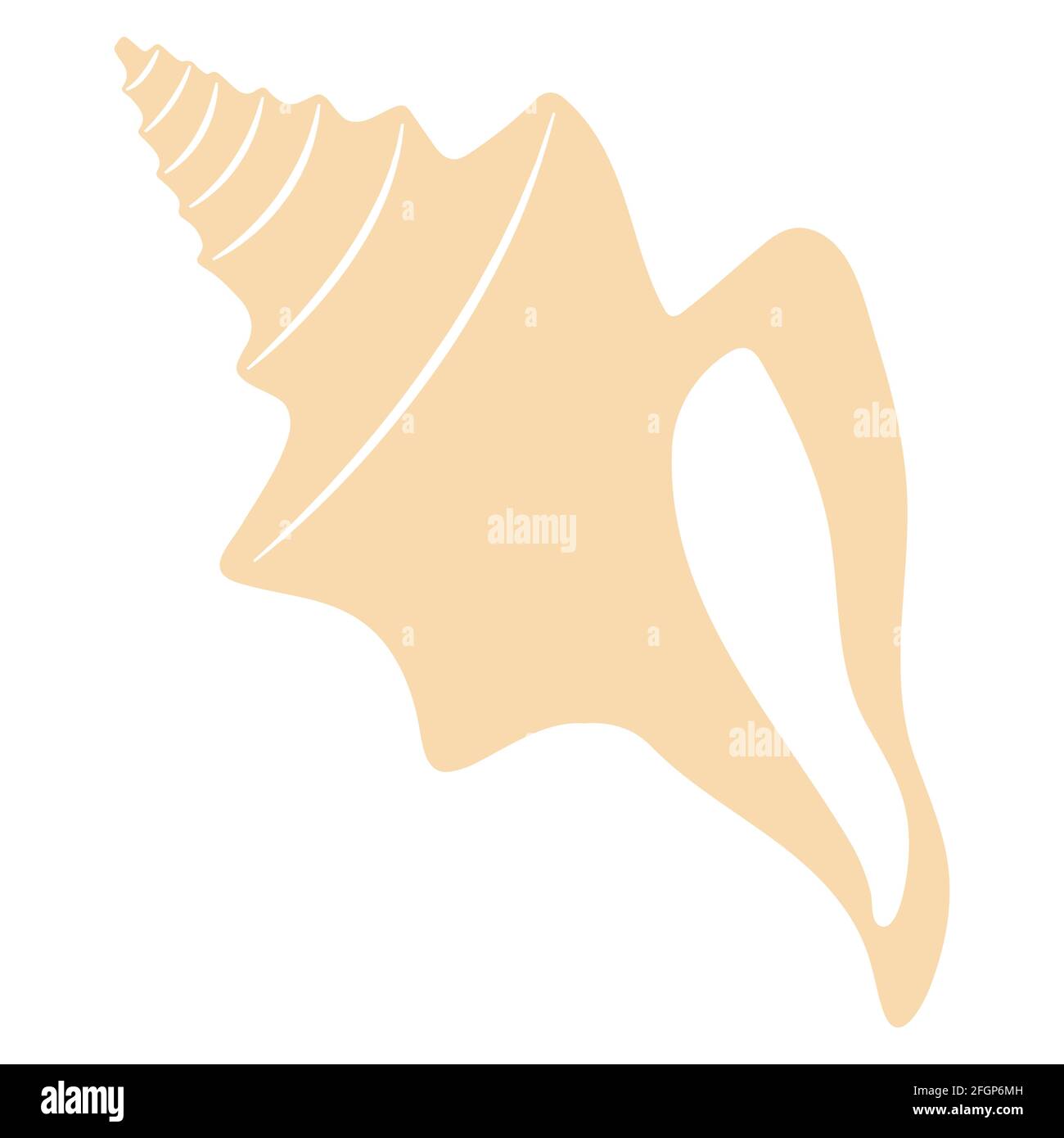 Boho sea shell. Isolated on white background Stock Vector Image & Art ...