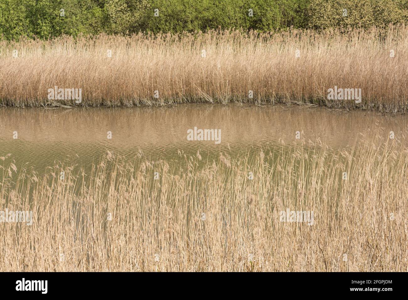 Leg of mutton nature reserve hi-res stock photography and images - Alamy