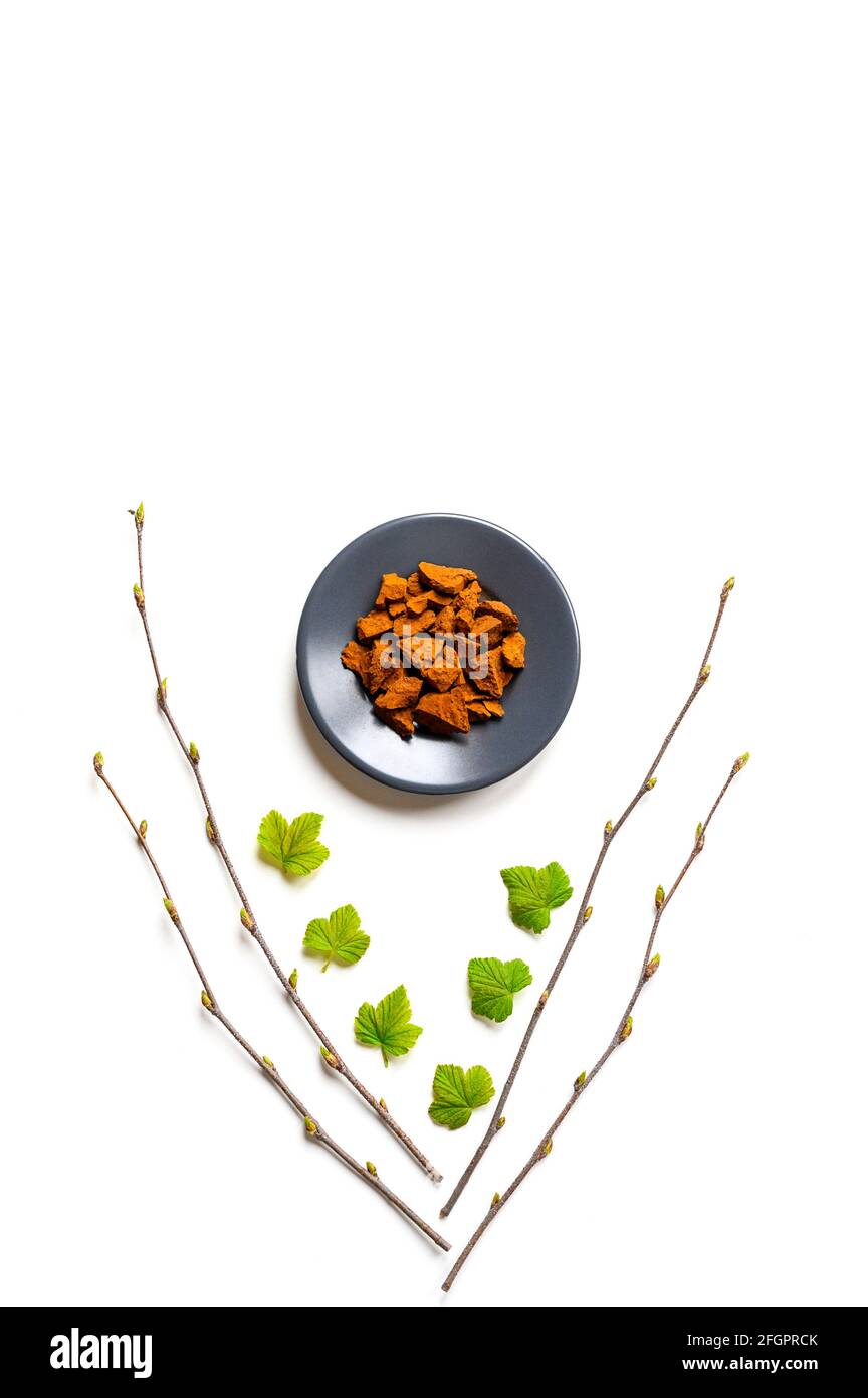 chaga mushroom. composition of small dry pieces of birch tree fungus ...