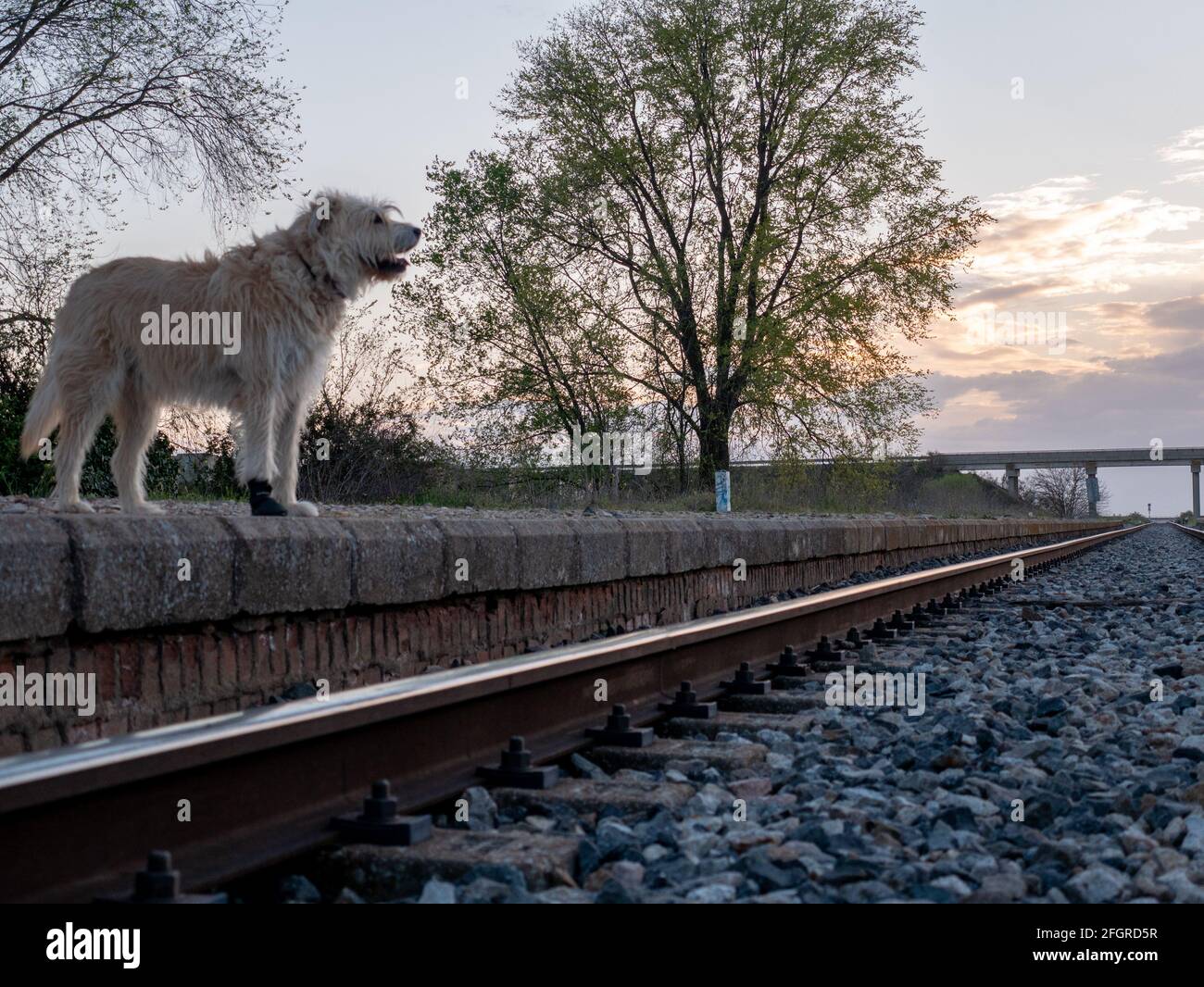 Railroad jack hi-res stock photography and images - Alamy