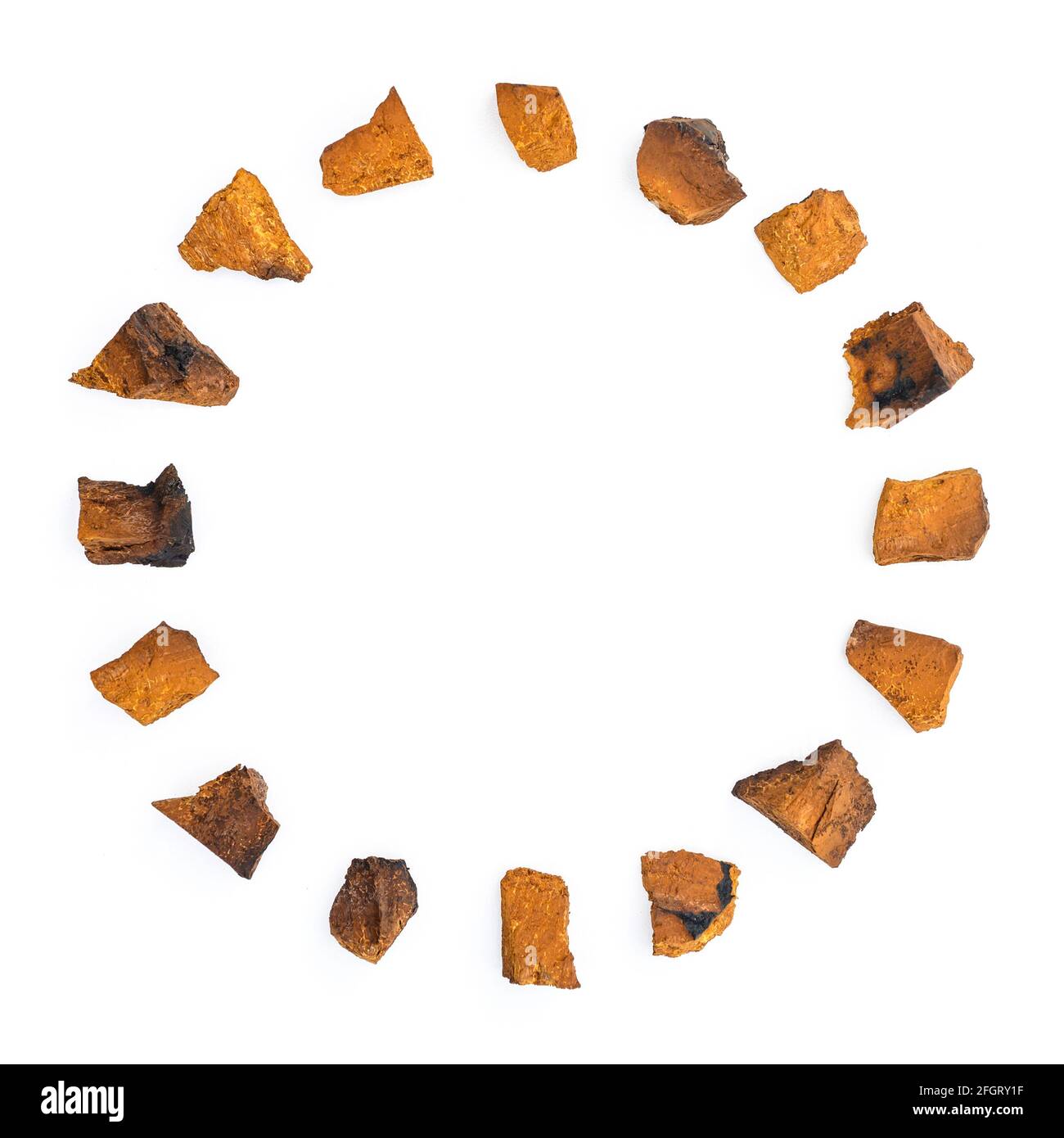 chaga mushroom. large sliced pieces of birch tree chaga fungus arranged ...