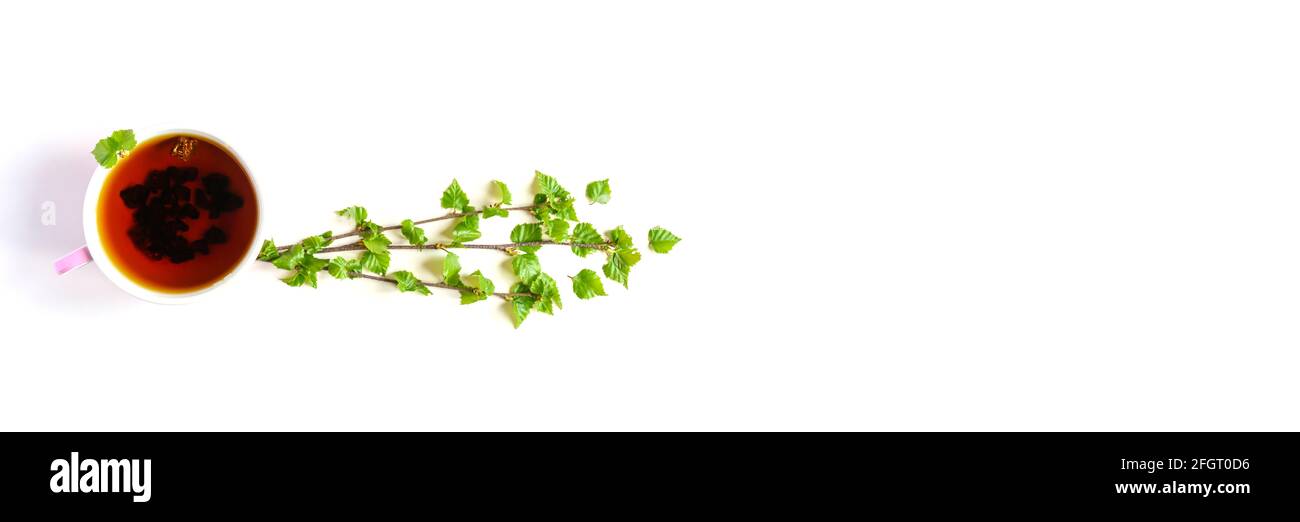 Cup of tea of birch chaga mushroom and crushed chaga fungus pieces for ...