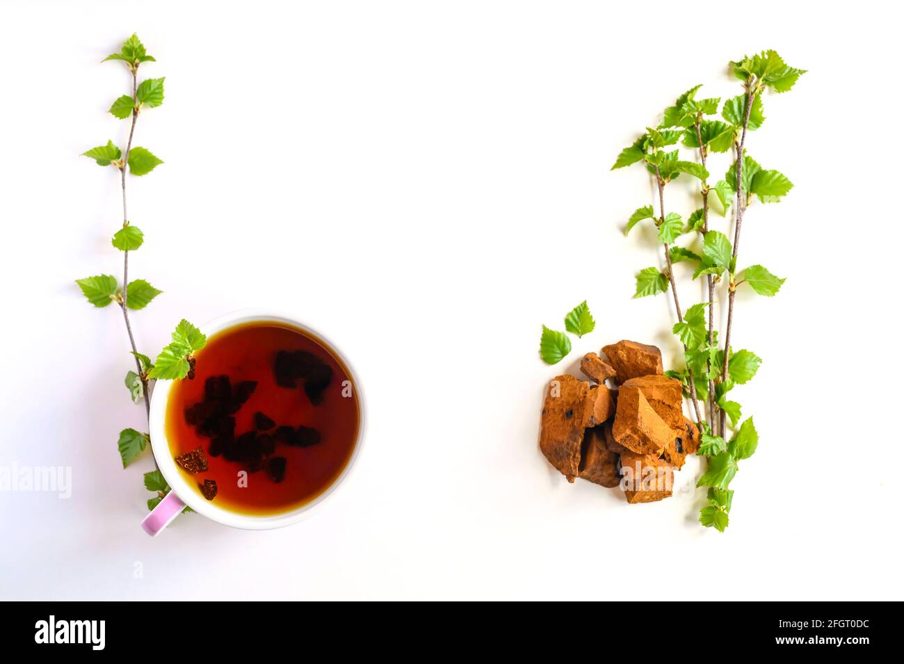 Cup of tea of birch chaga mushroom and crushed chaga fungus pieces for ...