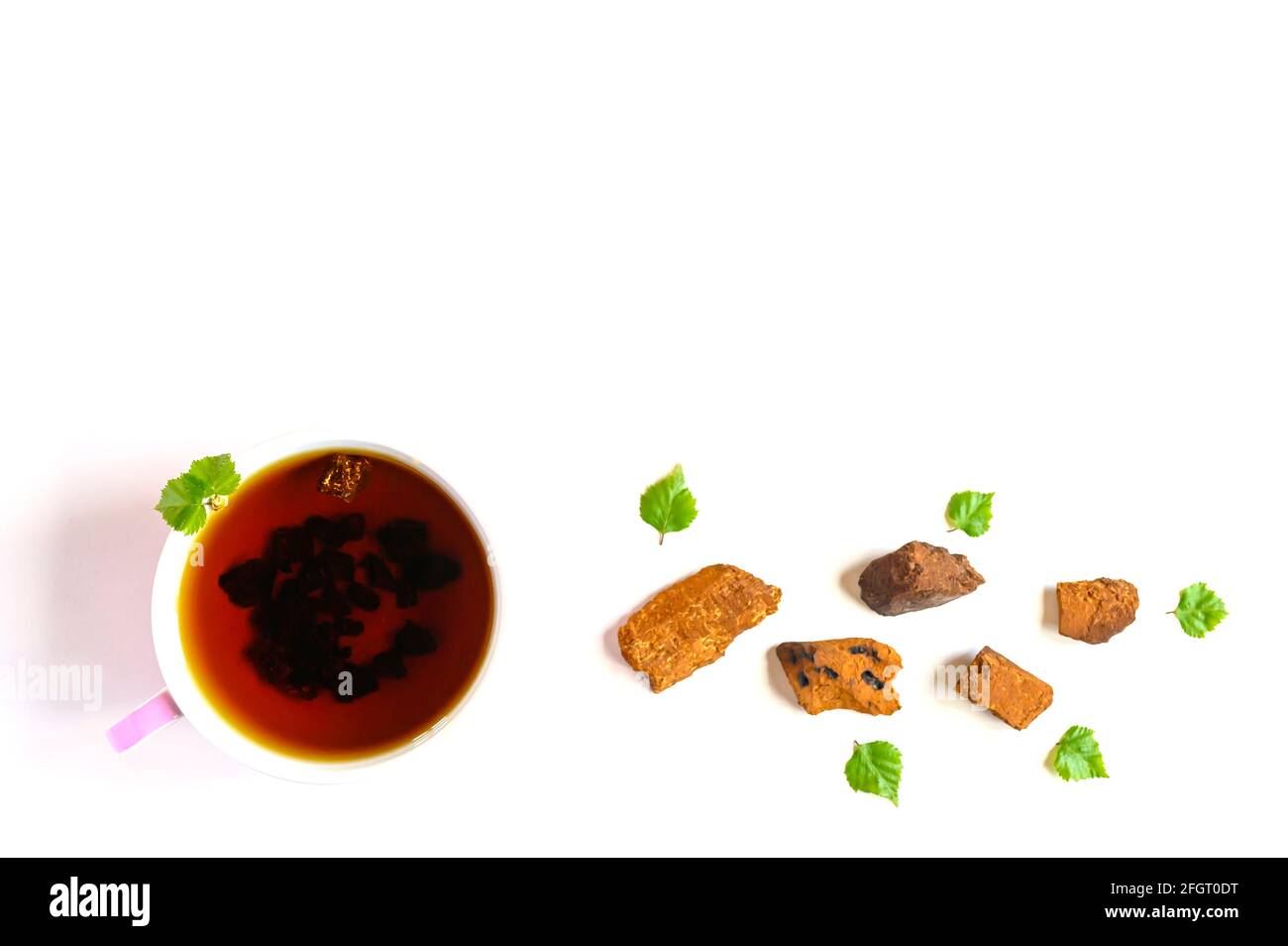 Cup of tea of birch chaga mushroom and crushed chaga fungus pieces for ...