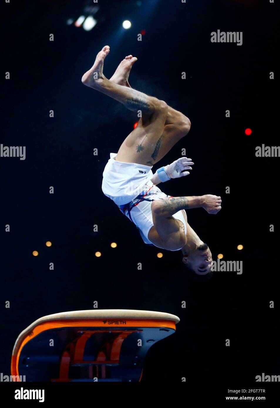 Frasca loris hi-res stock photography and images - Alamy