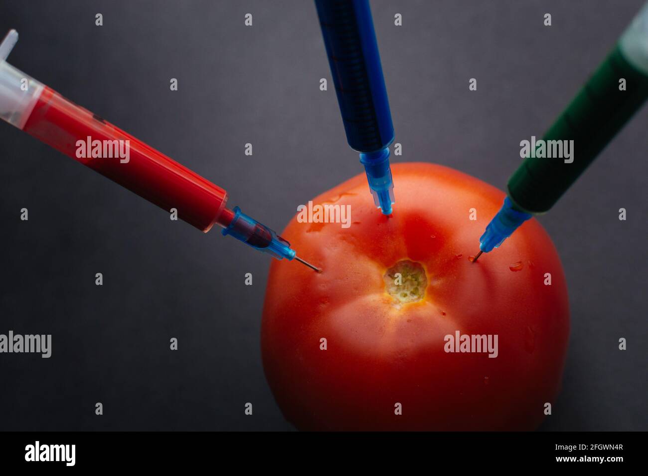 Three syringe with vaccine needle stuck into a juicy red tomato Stock ...