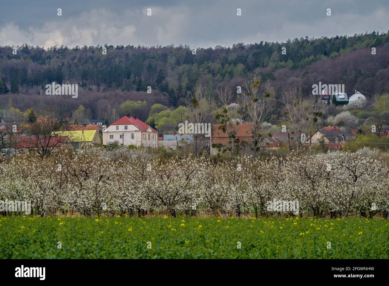 Spring rural landscape Lower Silesia Poland Stock Photo - Alamy