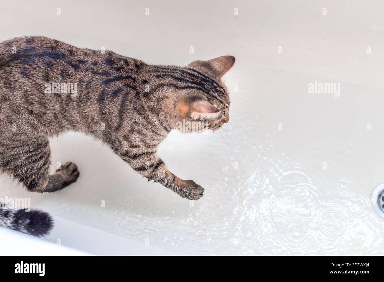 Washed in water hi-res stock photography and images - Alamy