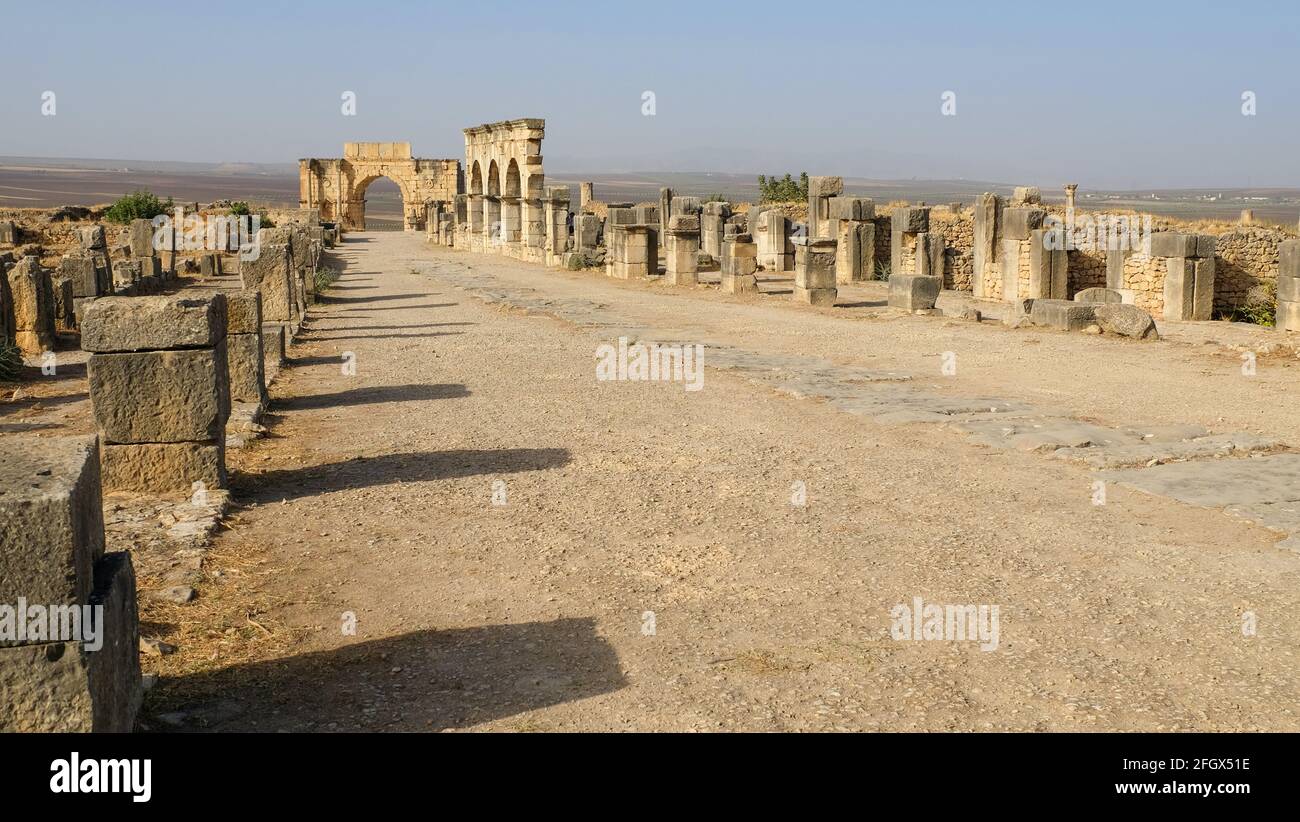 Decumanus Maximus or the main road at Volubilis, an ancient Roman city ...