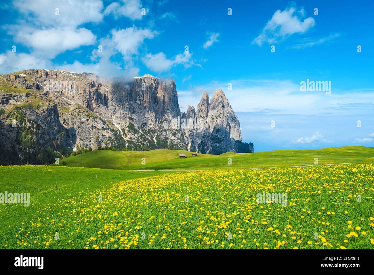 Majestic Alpe di Siusi mountain resort with flowery meadows and blue ...