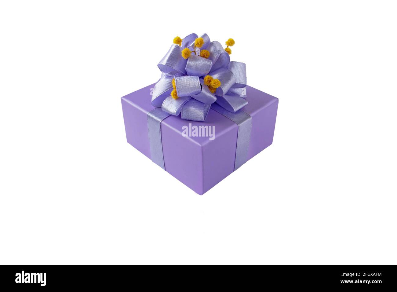 Purple gift box with golden ribbon bow and mimosa fluffy flowers top ...