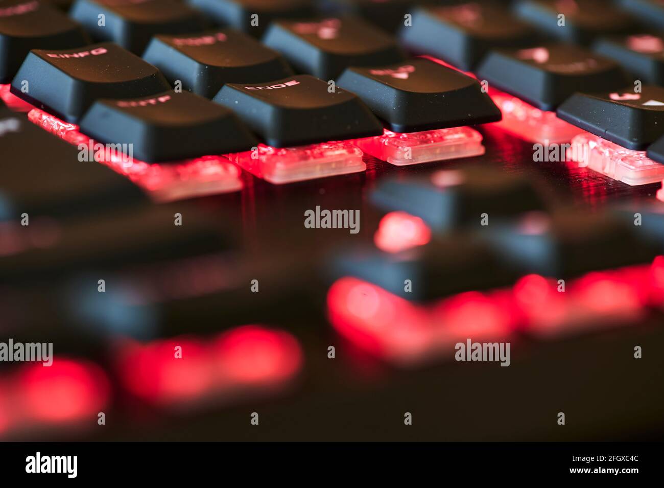 View to parts of an illuminated computer keyboard in the dark Stock ...
