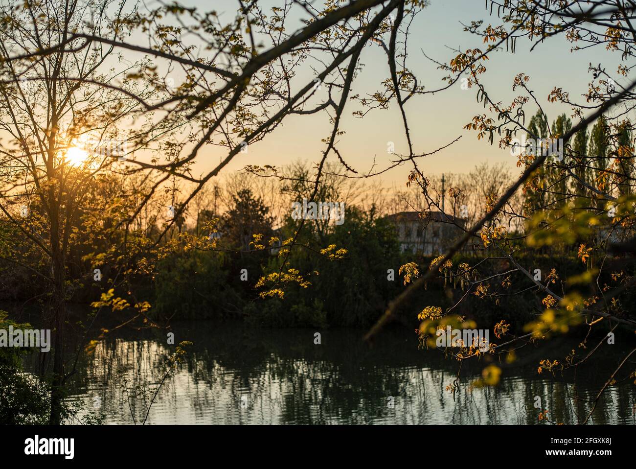 Panoramic View of a pond at sunset in spring Stock Photo - Alamy