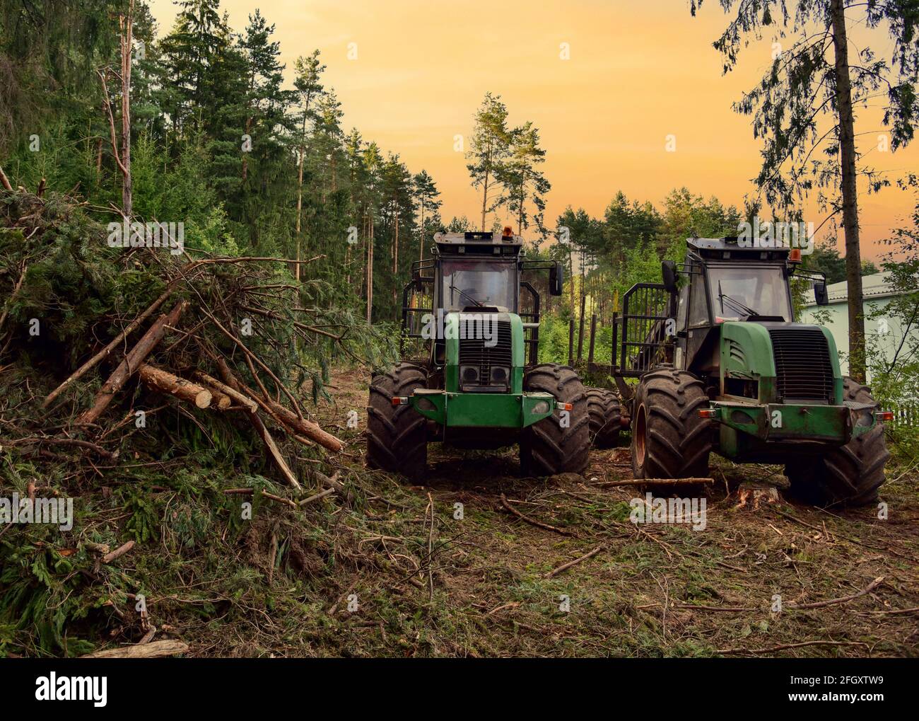 Crane forwarder machines at during clearing of a plantation. Wheeled ...