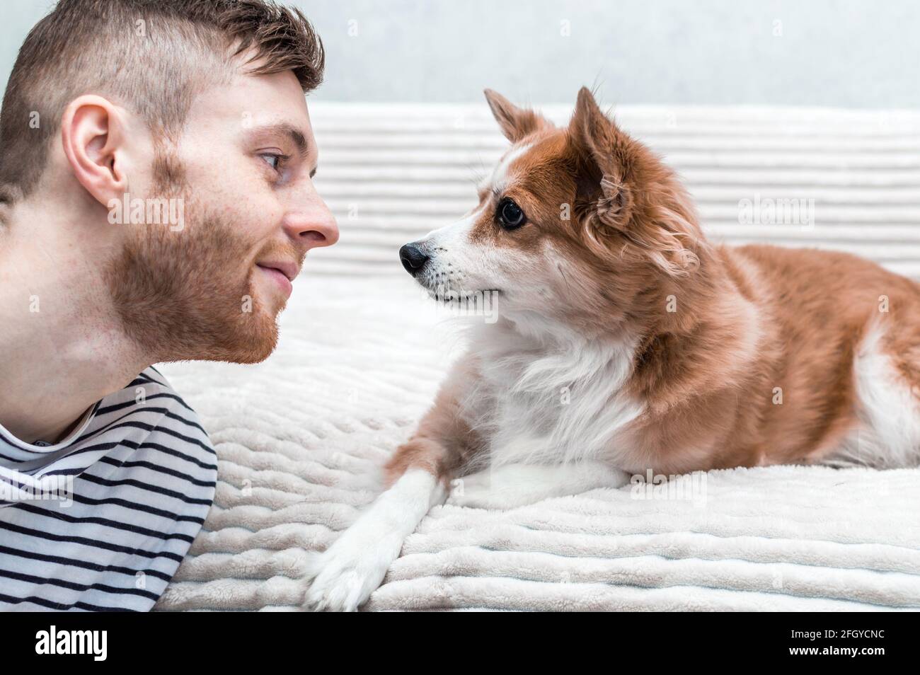 Portrait of man and pet dog looking at each other hi-res stock ...