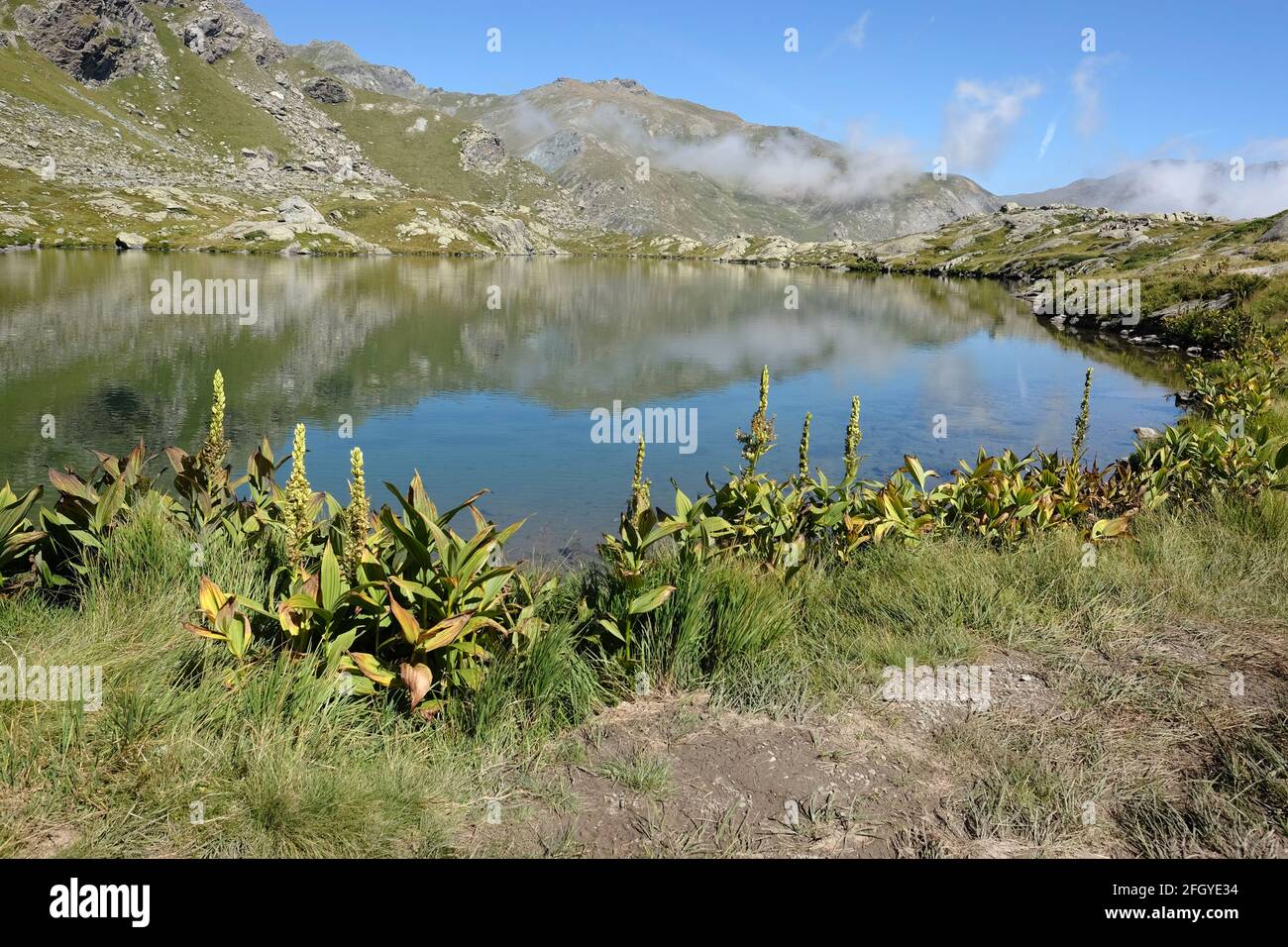 Lago Superiore, Monviso Stock Photo - Alamy