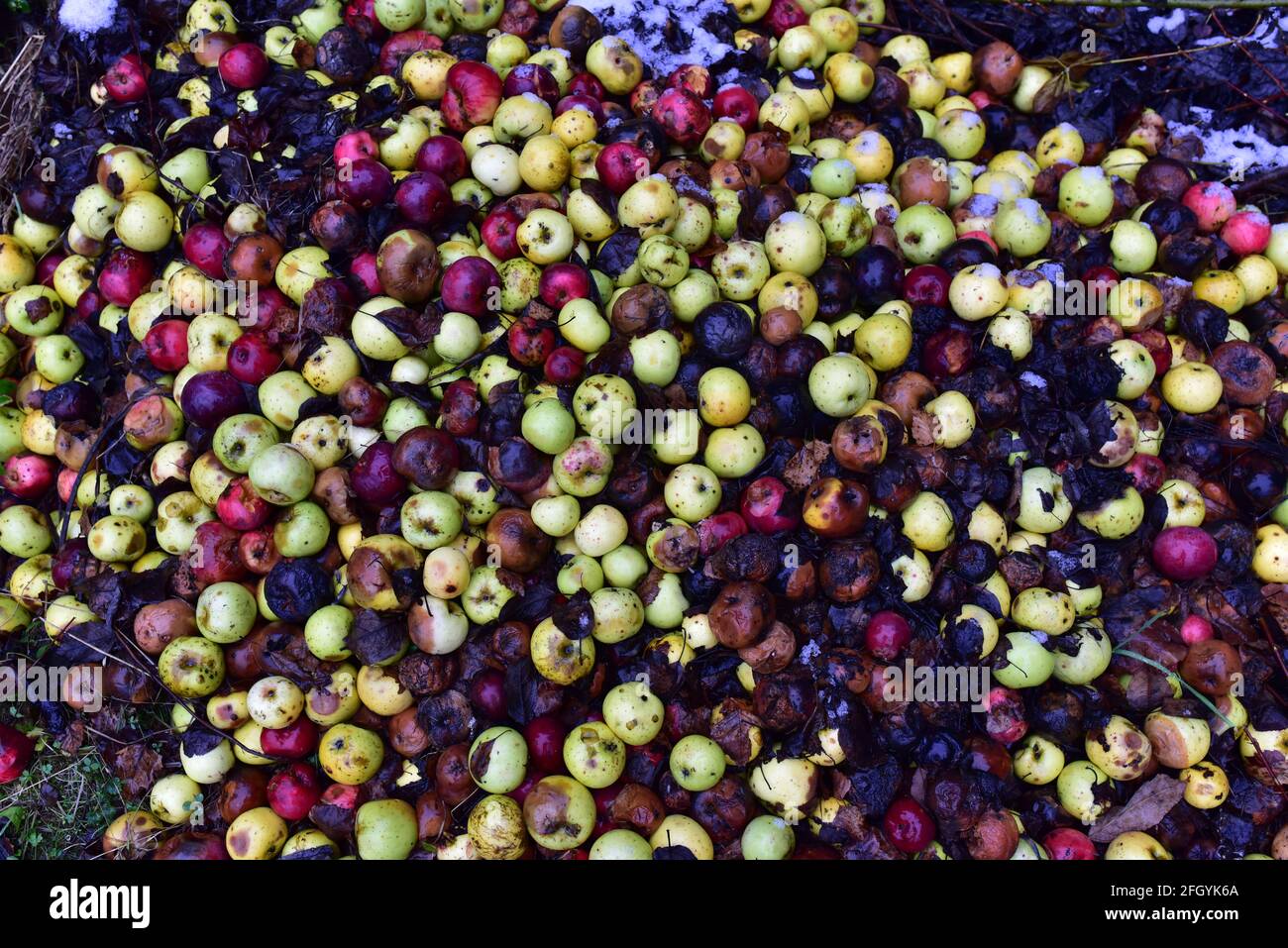 Decayed fruits hi-res stock photography and images - Alamy