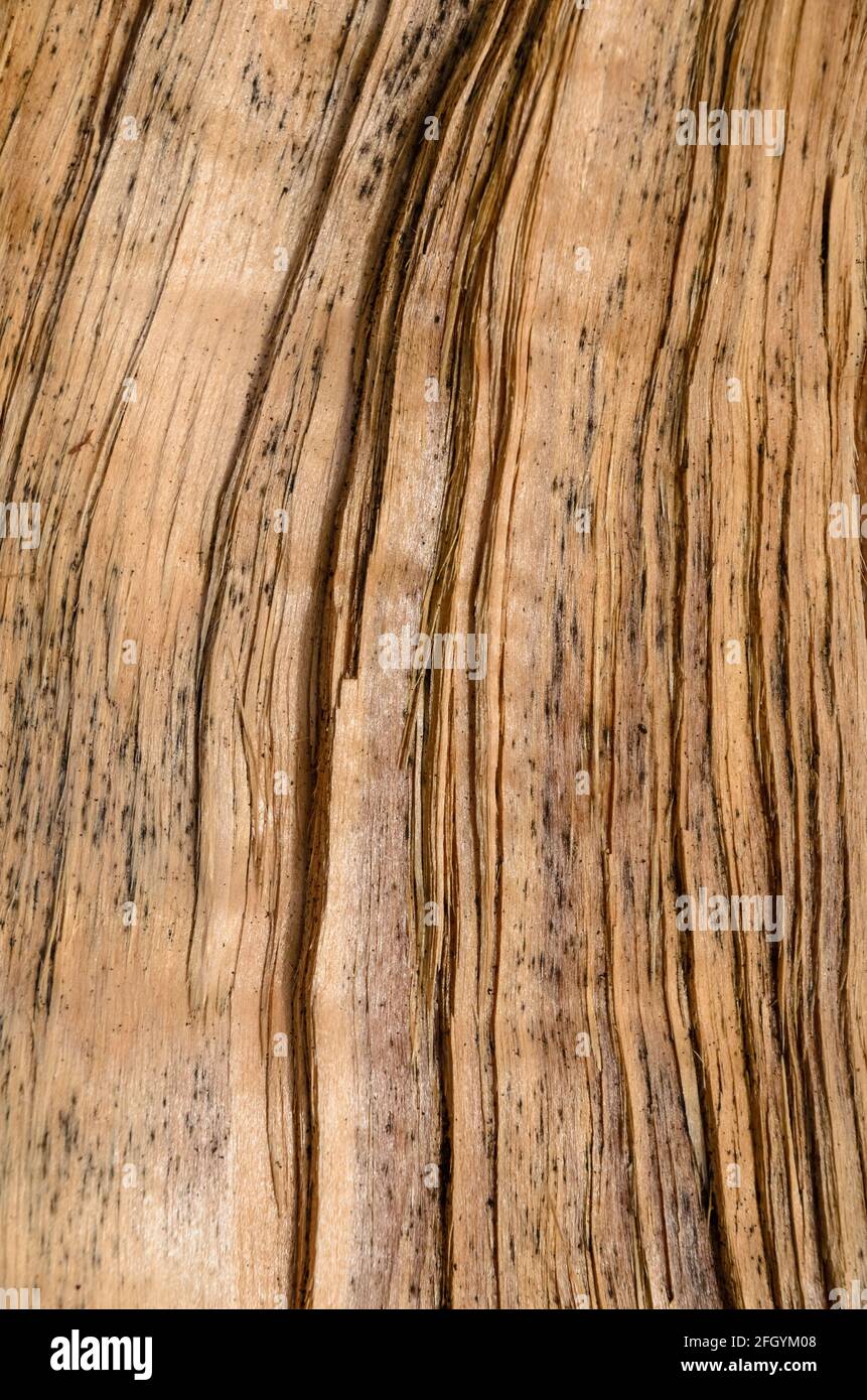 Curvy lines hi-res stock photography and images - Alamy