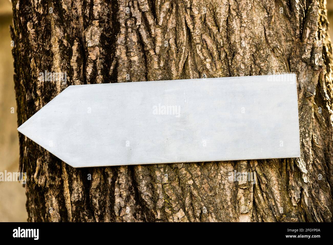 gray arrow on the trunk of a tree in nature. pointer in the park. High ...