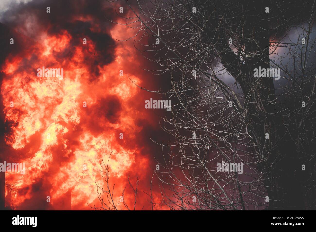 Massive large major wildfire, bush blaze, a forest fire, with a burning ...