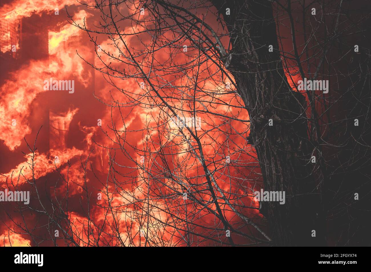 Massive large major wildfire, bush blaze, a forest fire, with a burning ...