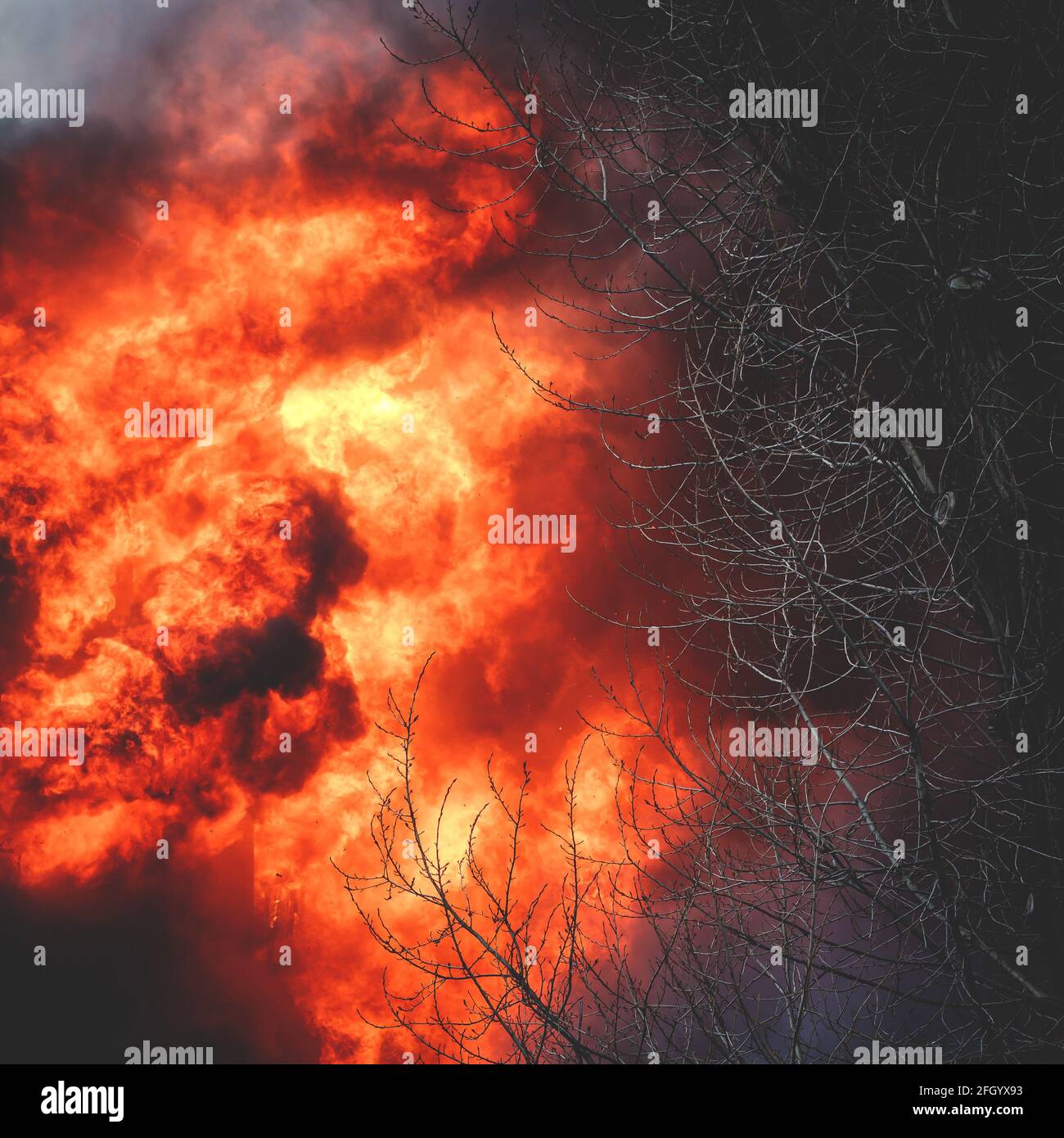 Massive large major wildfire, bush blaze, a forest fire, with a burning ...