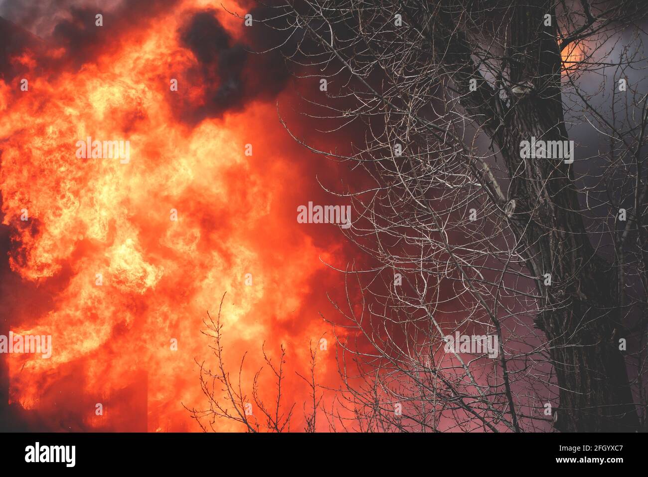 Massive large major wildfire, bush blaze, a forest fire, with a burning ...