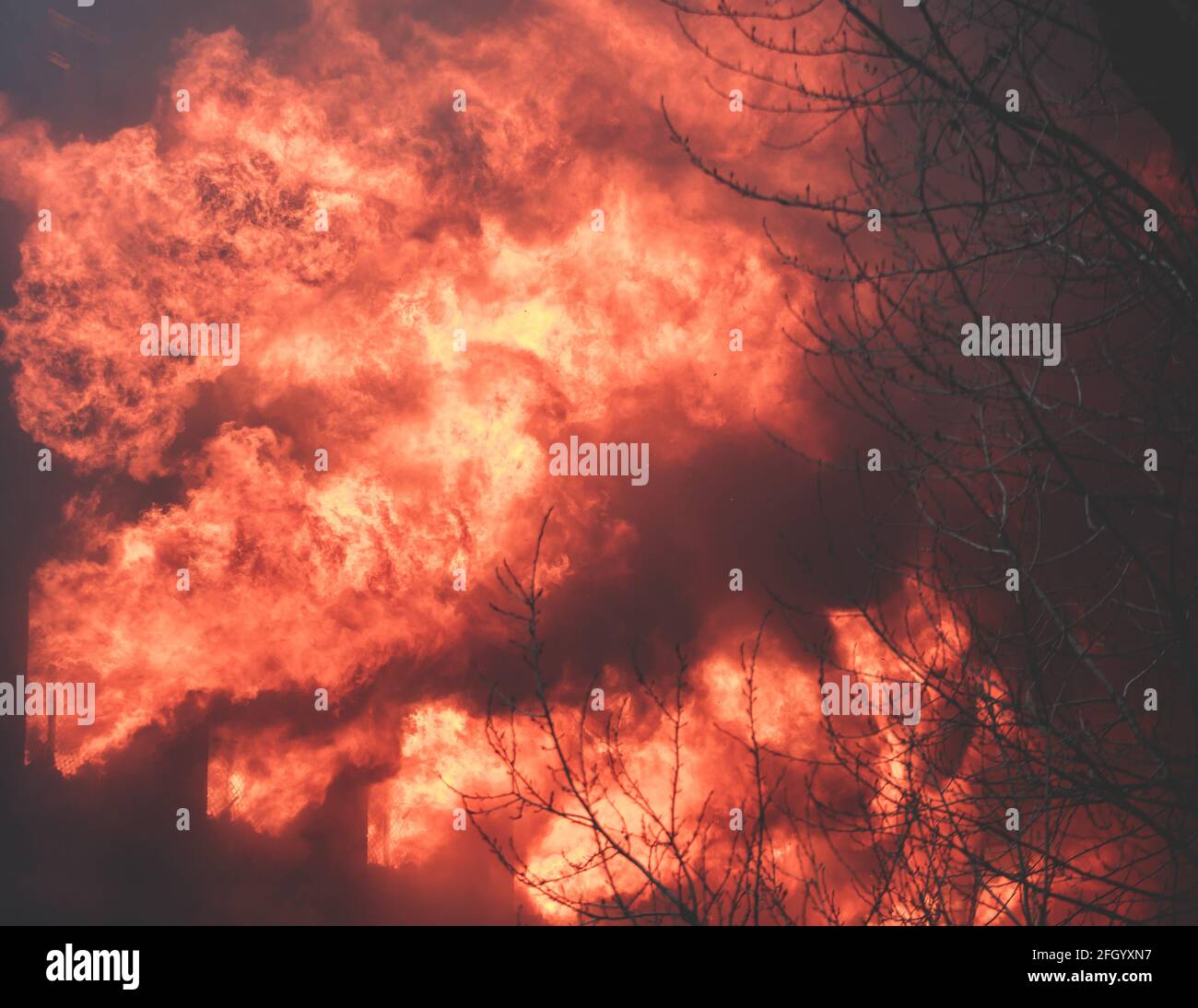 Massive large major wildfire, bush blaze, a forest fire, with a burning ...