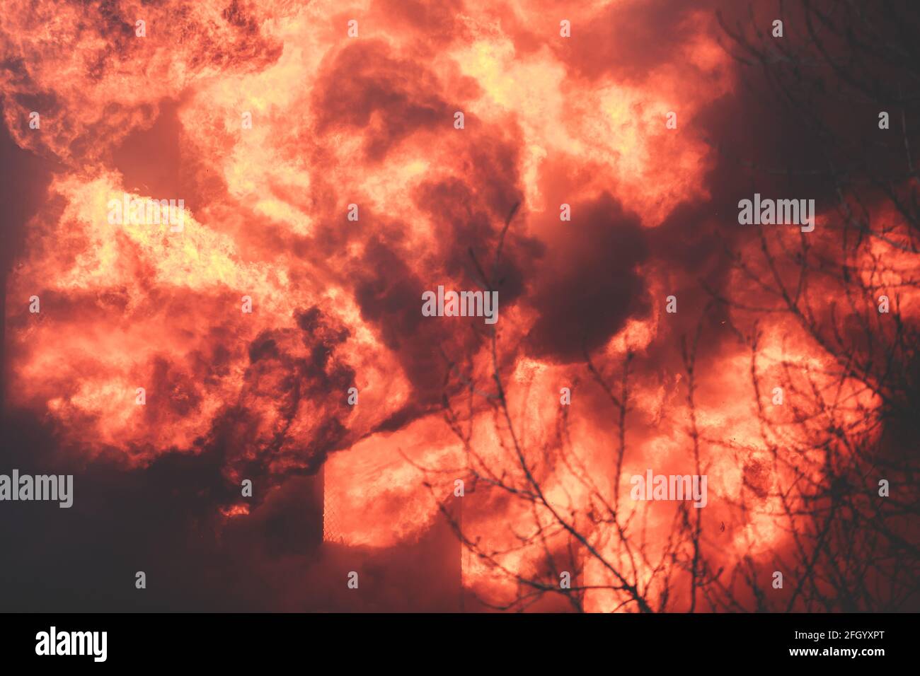 Massive large major wildfire, bush blaze, a forest fire, with a burning ...