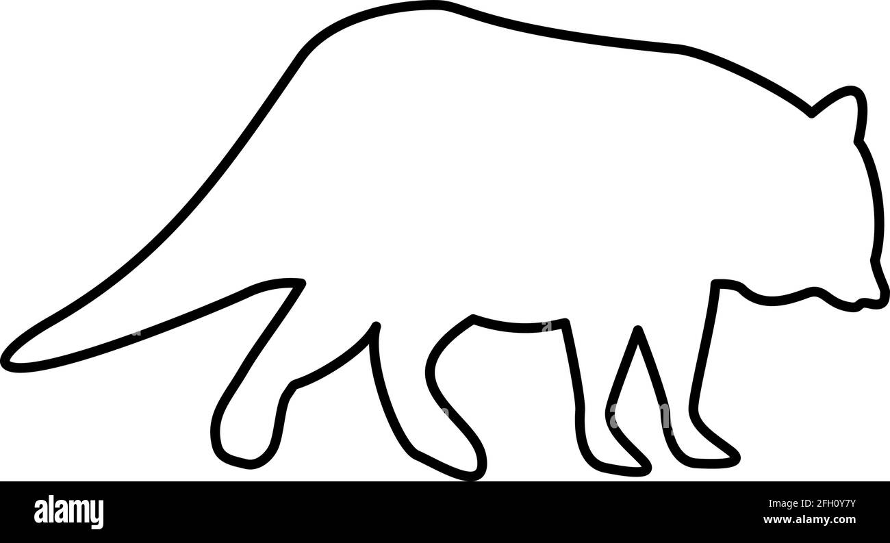 Raccoon Outline