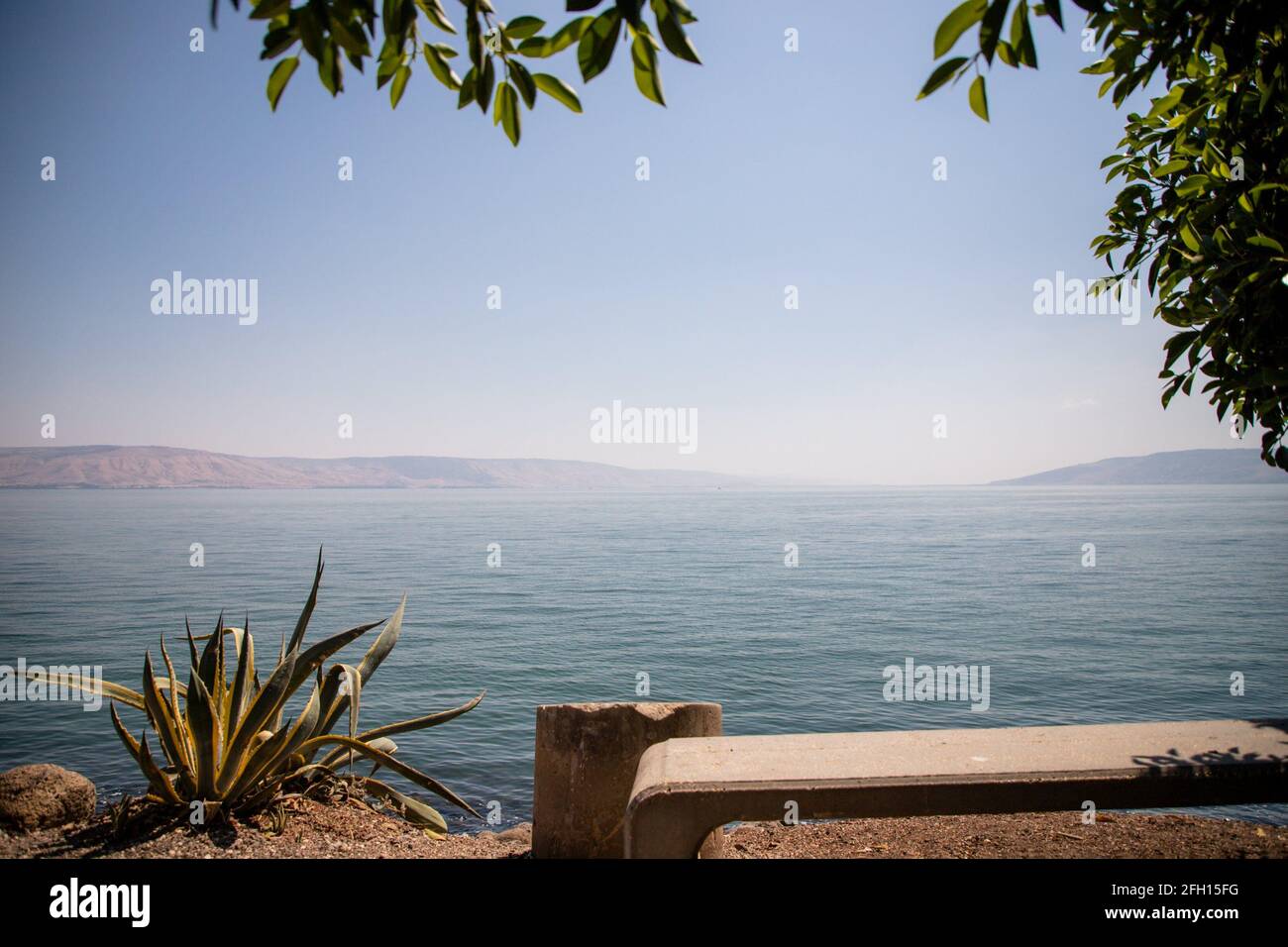 Coast of Sea of Galilee, water and plants. Israel Stock Photo - Alamy
