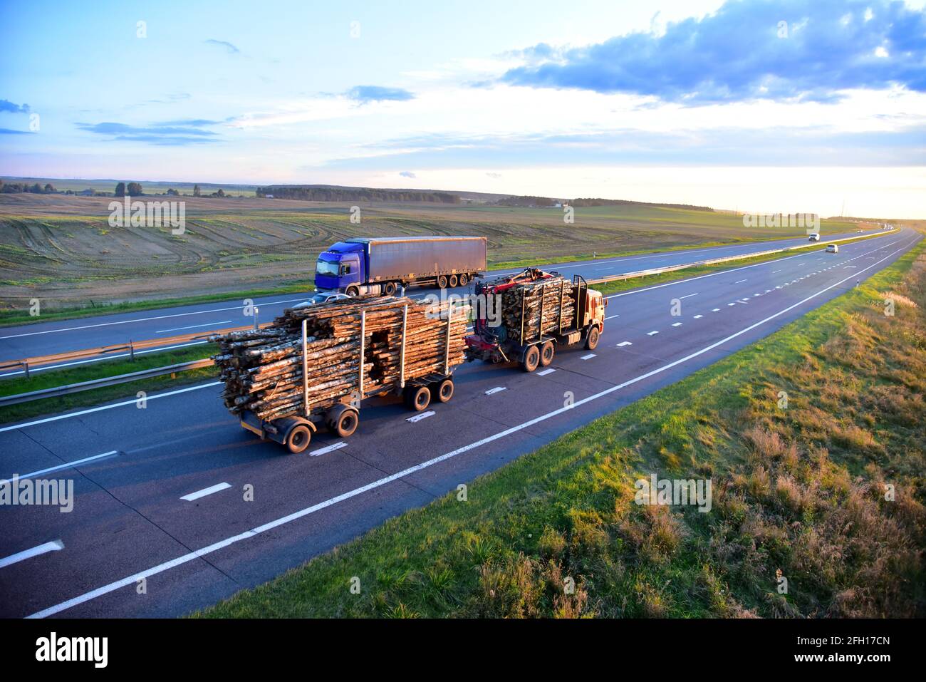 Timber truck transporting cut trees from forest along highway ...