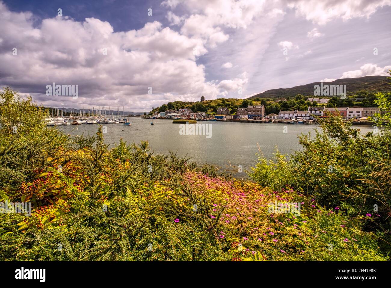 A day at the harbour, Tarbert, Scotland Stock Photo - Alamy