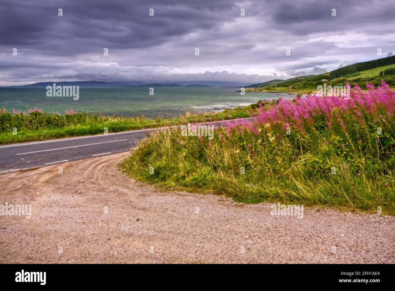 Pretty In Pink, Scottish Highlands, Scotland Stock Photo - Alamy