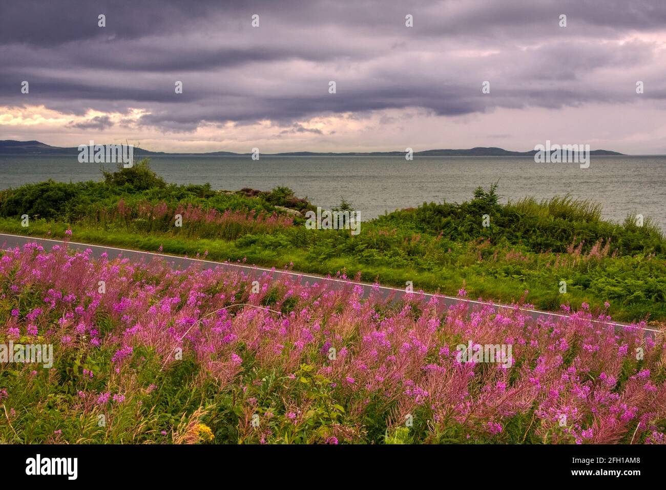 Pretty In Pink, Scottish Highlands, Scotland Stock Photo - Alamy