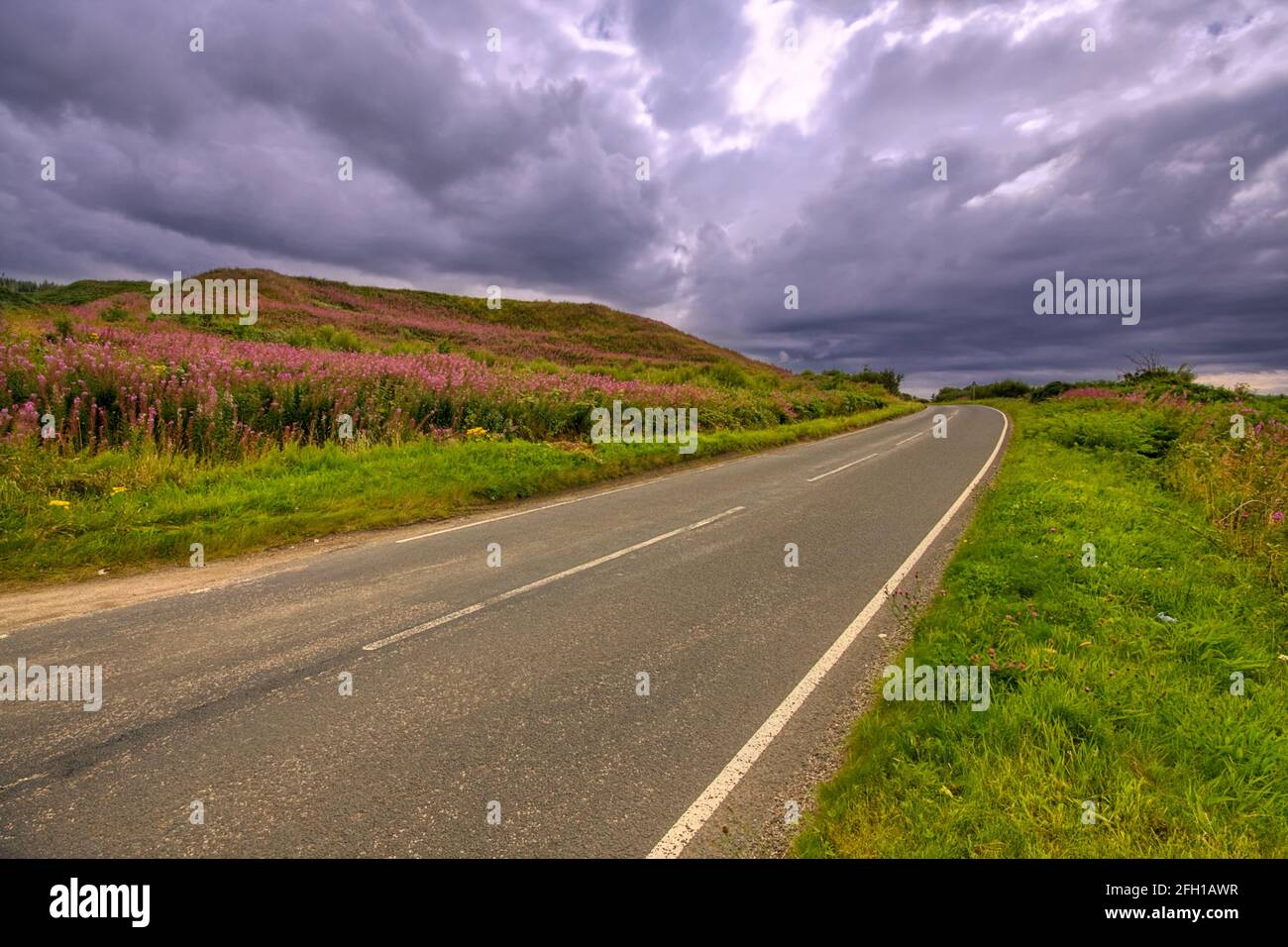 Pretty In Pink, Scottish Highlands, Scotland Stock Photo - Alamy