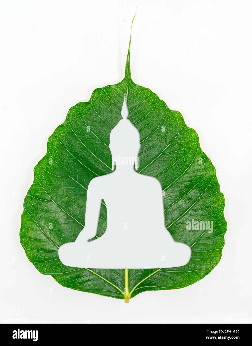 The bodhi path Cut Out Stock Images & Pictures - Alamy
