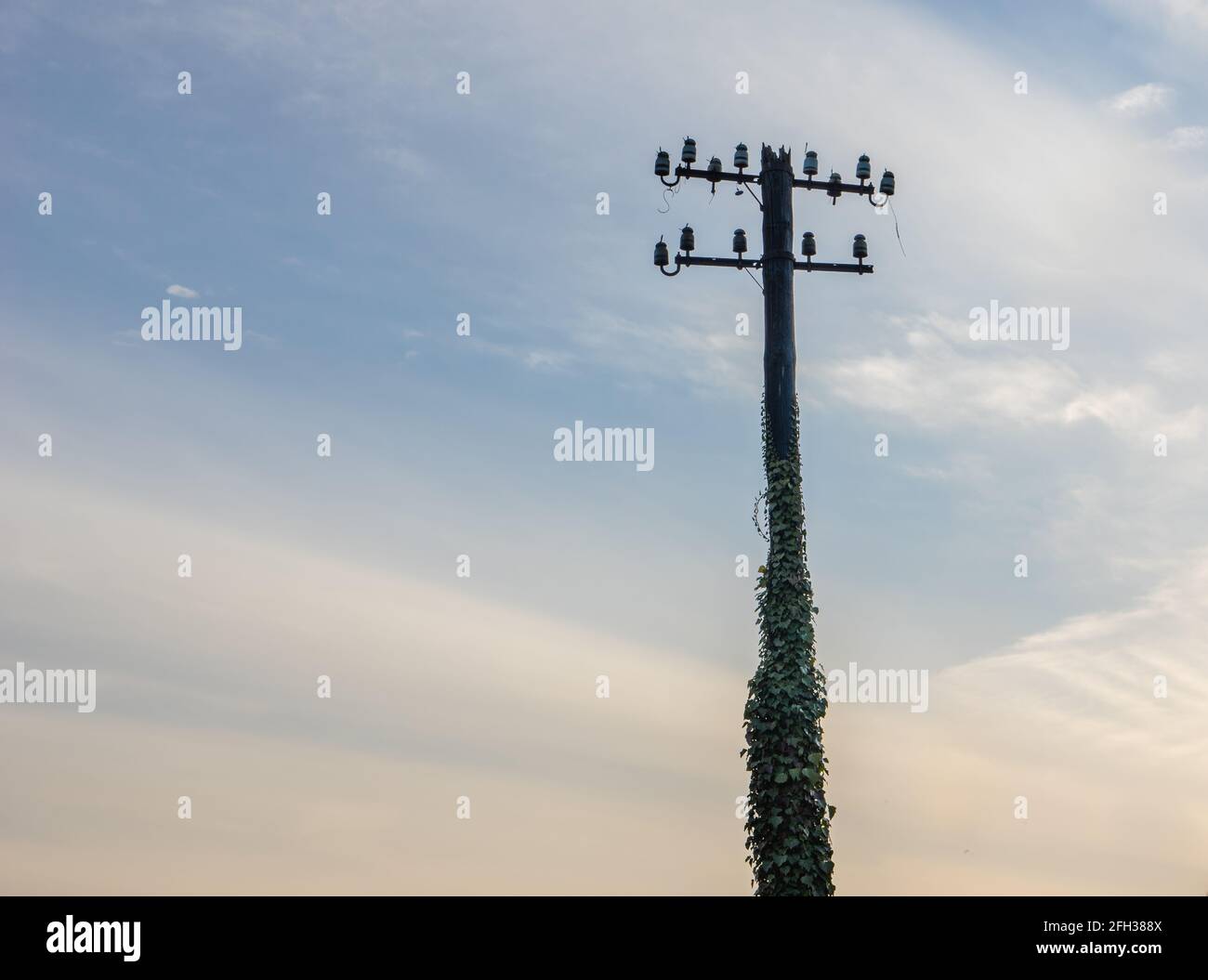 Railway telegraph poles hi-res stock photography and images - Alamy