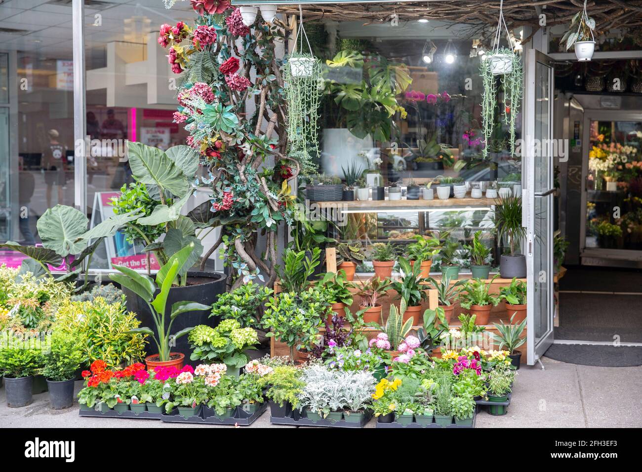 Beautiful display flower shop exterior hi-res stock photography and ...