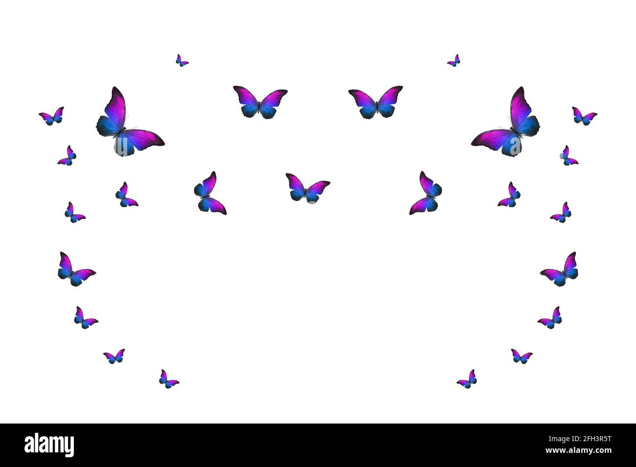 tropical flock of flying colored butterflies isolated on white ...
