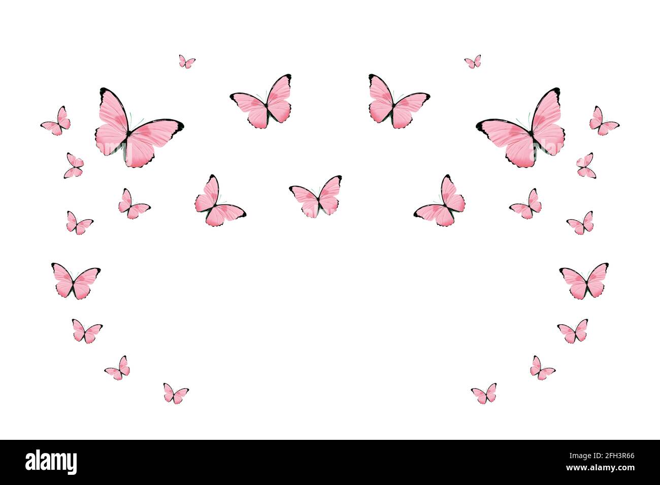 Colorful photo of insects Cut Out Stock Images & Pictures - Alamy