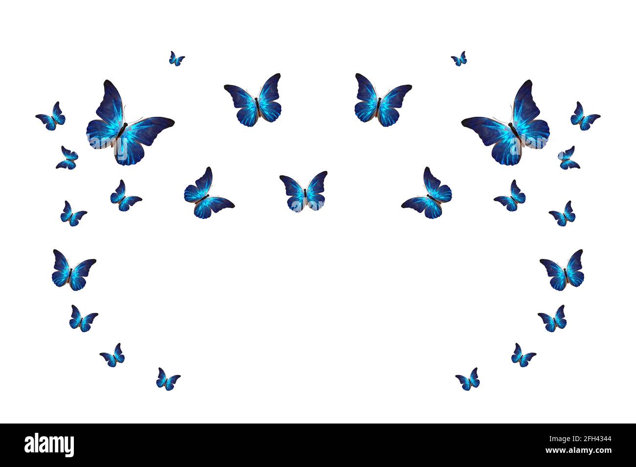 tropical flock of flying colored butterflies isolated on white. blue ...