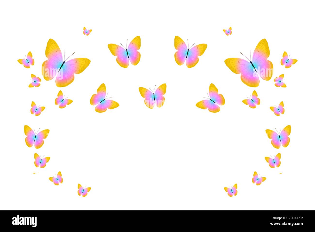 tropical flock of flying colored butterflies isolated on white ...