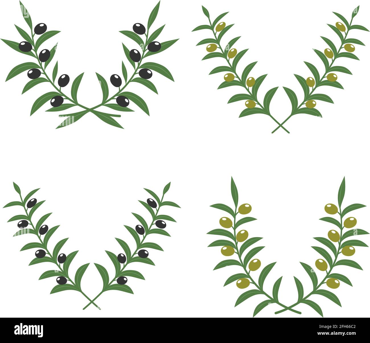 Olive branch wreaths vector isolated on white background. Illustration ...