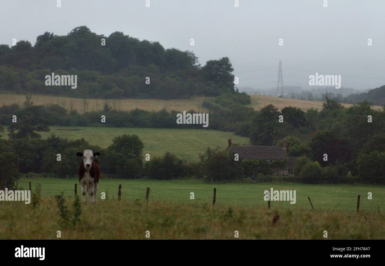 THE HILL WHERE DAVID KELLY'S BODY WAS FOUND ALMOST A YEAR AGO.16/7/04 ...