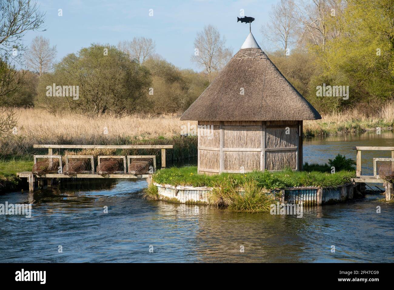 Hampshire, England, UK. The River Test as it flows through Longstock ...