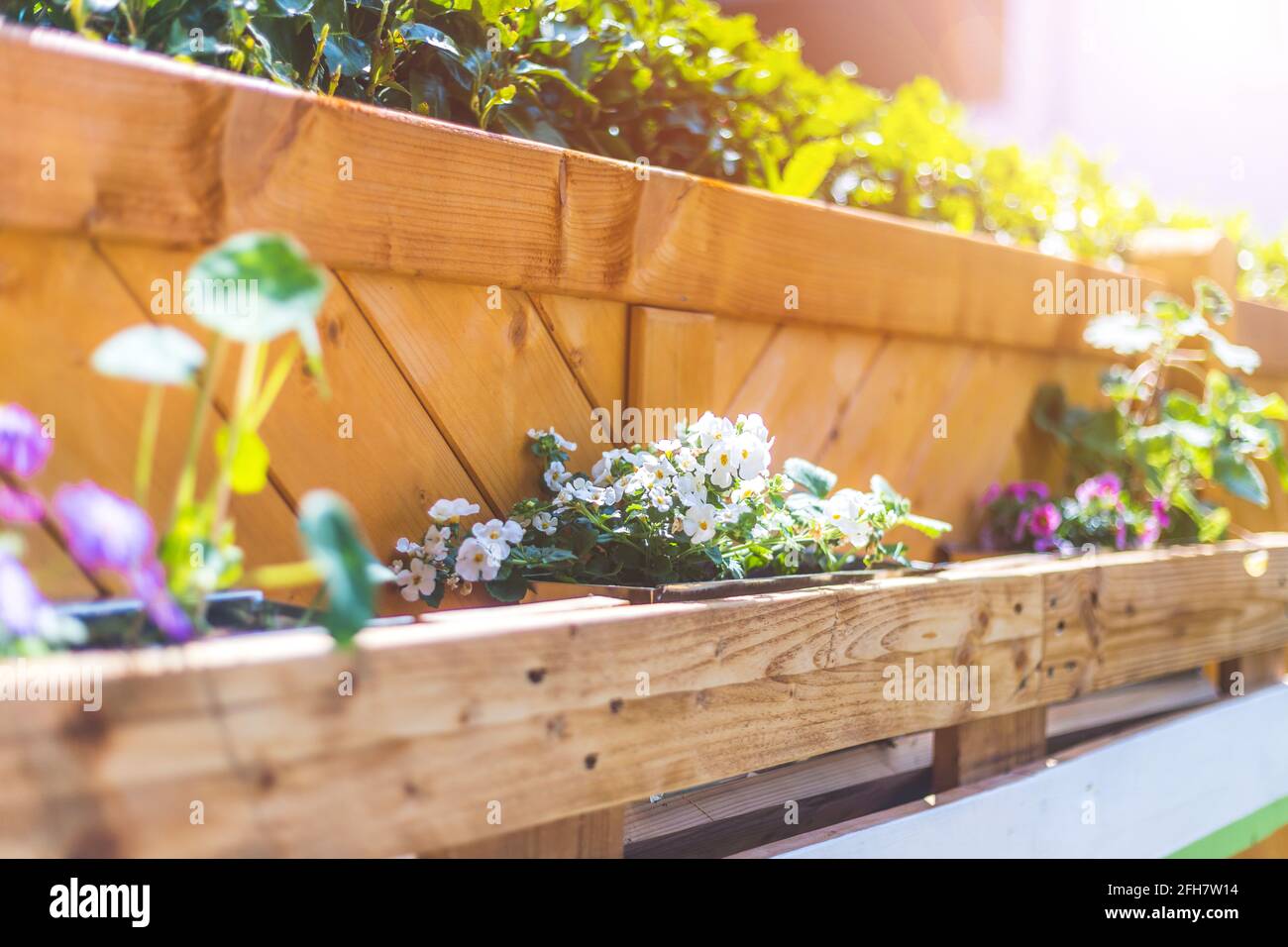 Spring flowers on self-made wooden flower box, euro palette Stock Photo ...