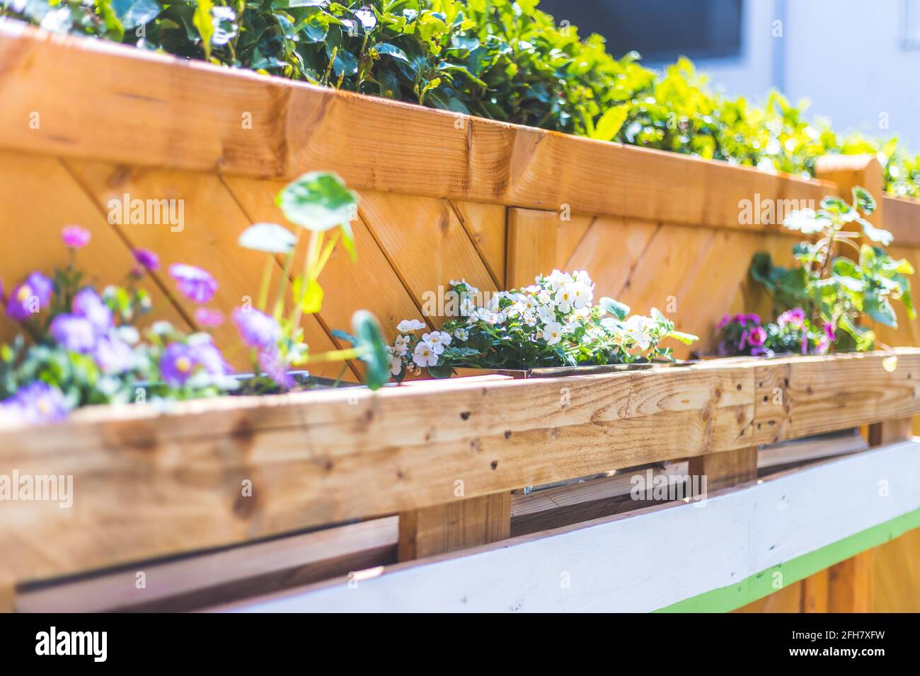 Spring flowers on self-made wooden flower box, euro palette Stock Photo ...