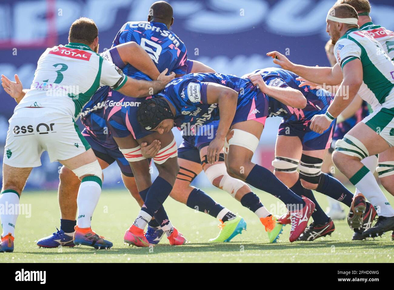 Paloise hi-res stock photography and images - Alamy